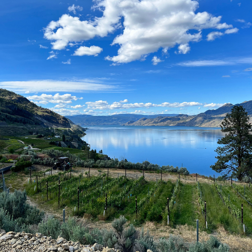 The Best British Columbia Food from a local - Foodie Town